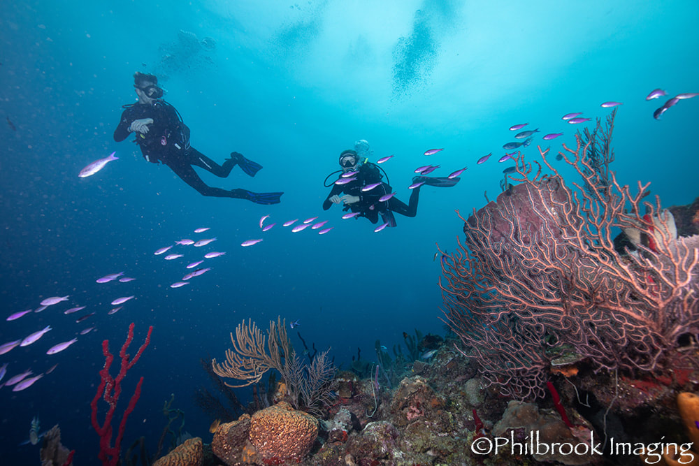 Roatan - CoCo View Resort - Aquaventure Scuba & Travel